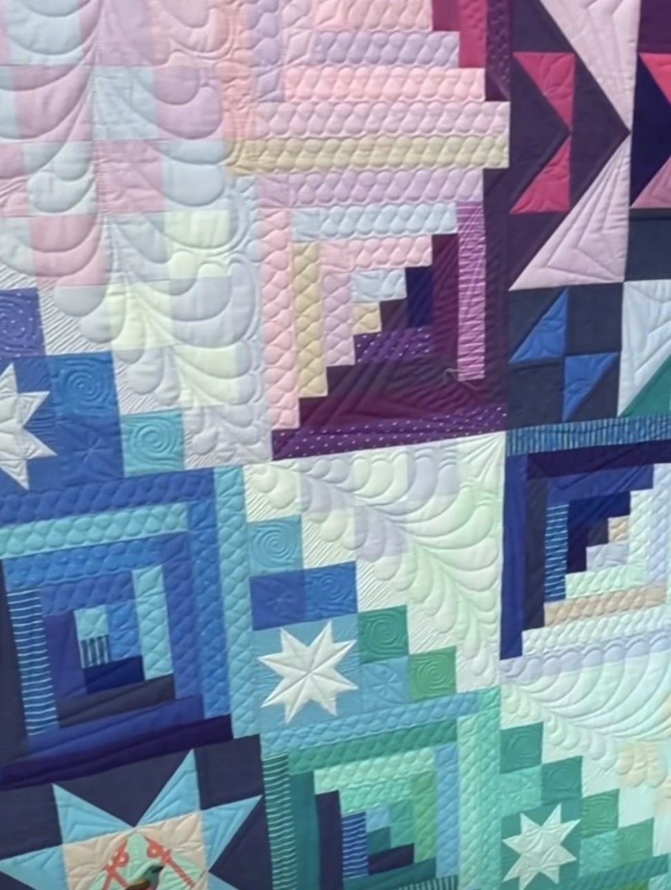 Amish With a Twist II BOM Quilt by Tula Pink - Petting Fabric